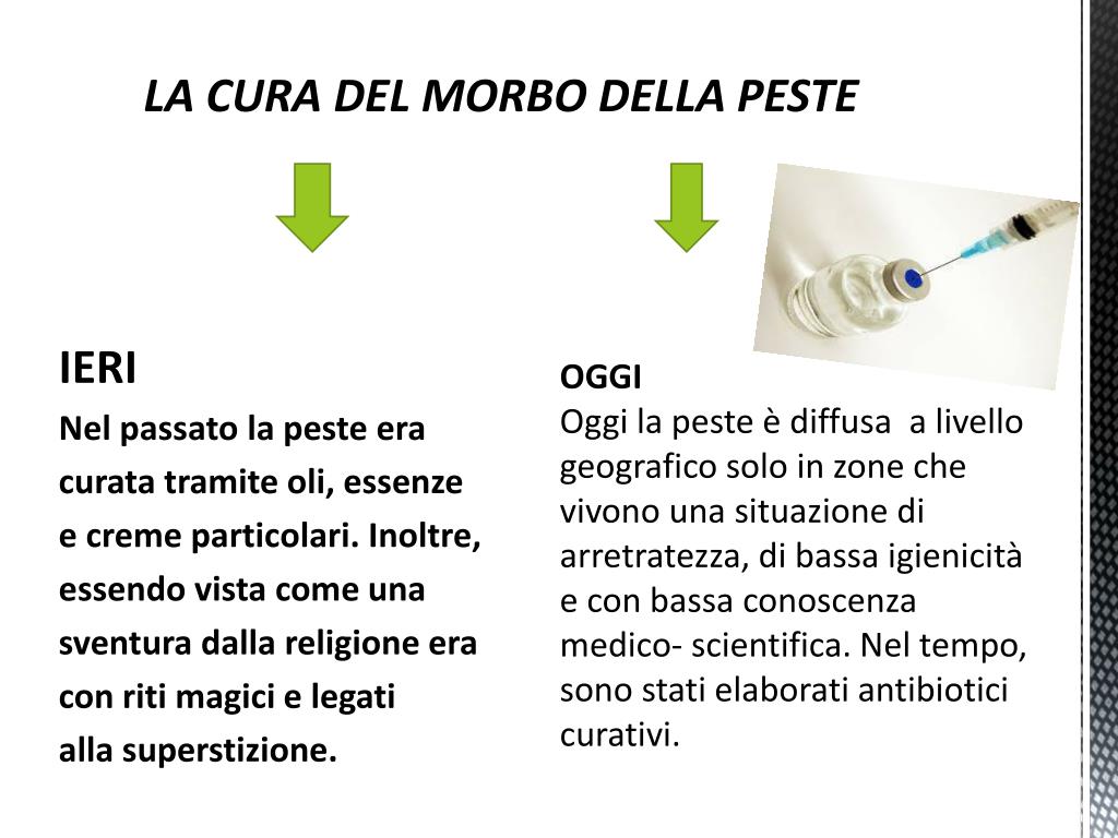 PPT - LA PESTE CLASSE I M – 2.0 A.S. 2013-14 PowerPoint Presentation ...