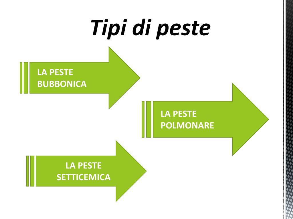 PPT - LA PESTE CLASSE I M – 2.0 A.S. 2013-14 PowerPoint Presentation ...