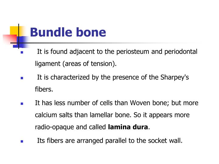 PPT - Bone and alveolar bone PowerPoint Presentation - ID:6228679
