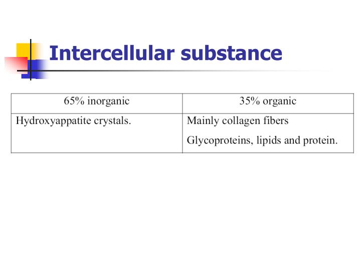 PPT - Bone and alveolar bone PowerPoint Presentation - ID:6228679