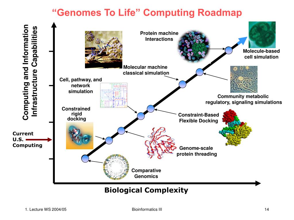 PPT - Bioinformatics III “Systems biology”,“Integrative cell biology ...