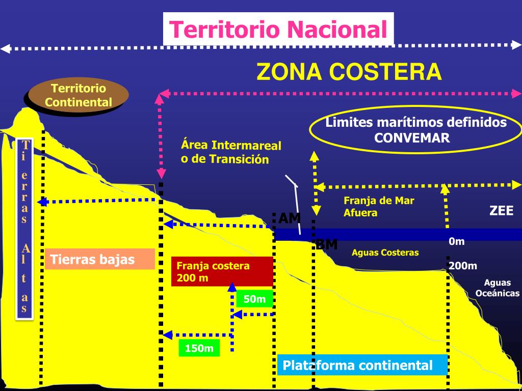 PPT - DIANA ARAUZ MSc. Oceanólogo PowerPoint Presentation, free ...