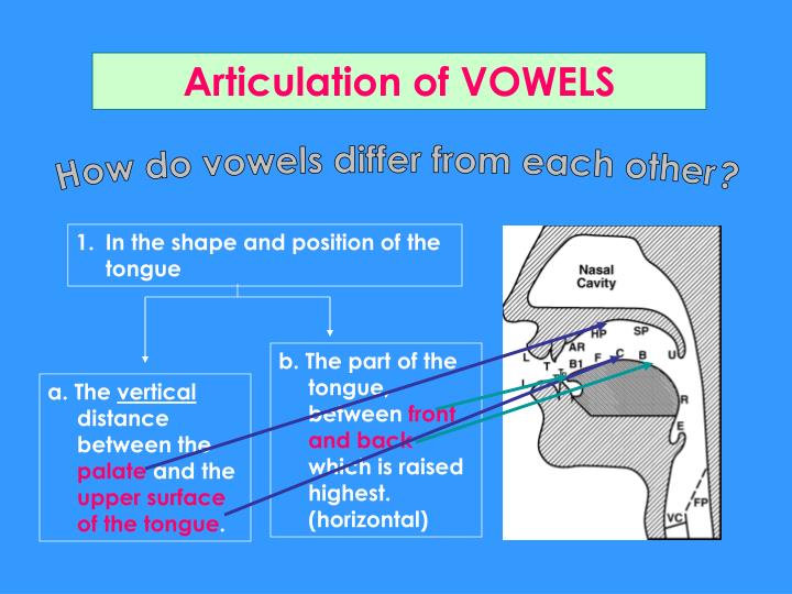 PPT - Class 1: Phonetics and Phonology PowerPoint Presentation - ID:6233671