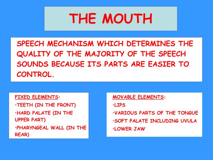 PPT - Class 1: Phonetics and Phonology PowerPoint Presentation - ID:6233671