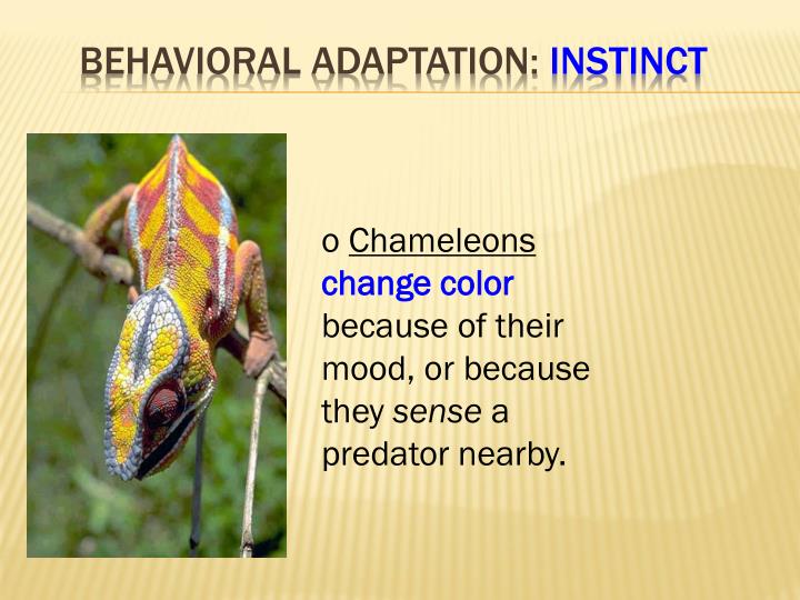 PPT - If an environment changes , plants & Animals will do 1 of 3 ...