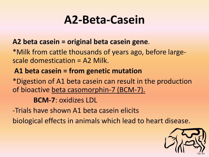 PPT - https://finedininglovers/blog/food-drinks/what-is-the-paleo-diet ...