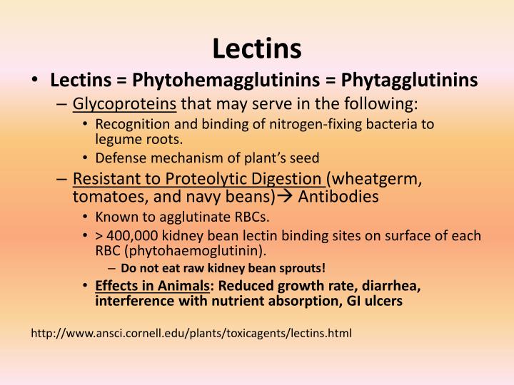 PPT - https://finedininglovers/blog/food-drinks/what-is-the-paleo-diet ...