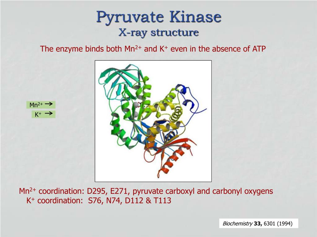 PPT - Metalloenzymes PowerPoint Presentation, free download - ID:6238349