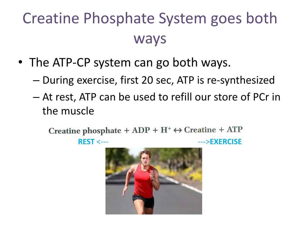 PPT - 3.3. NUTRITION AND ENERGY SYSTEMS PowerPoint Presentation, free download - ID:6238525