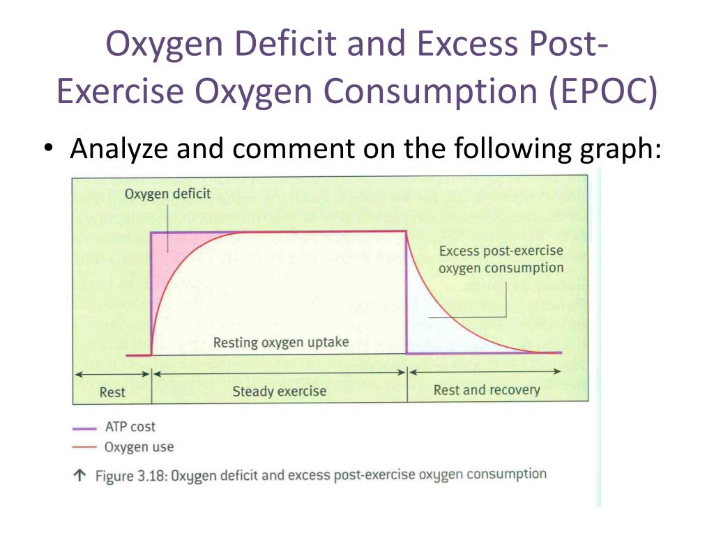 PPT - 3.3. NUTRITION AND ENERGY SYSTEMS PowerPoint Presentation, free ...