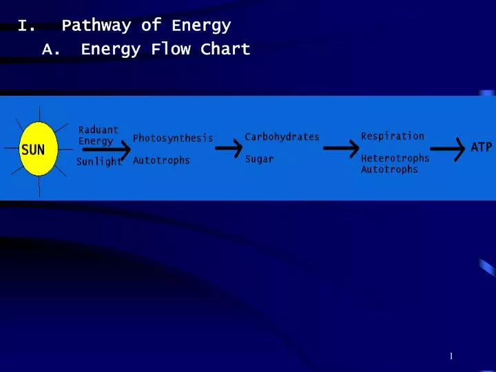 PPT - Pathway of Energy Energy Flow Chart PowerPoint Presentation, free ...