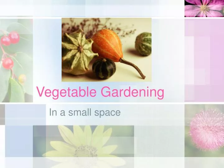 PPT - Vegetable Gardening PowerPoint Presentation, free download - ID ...