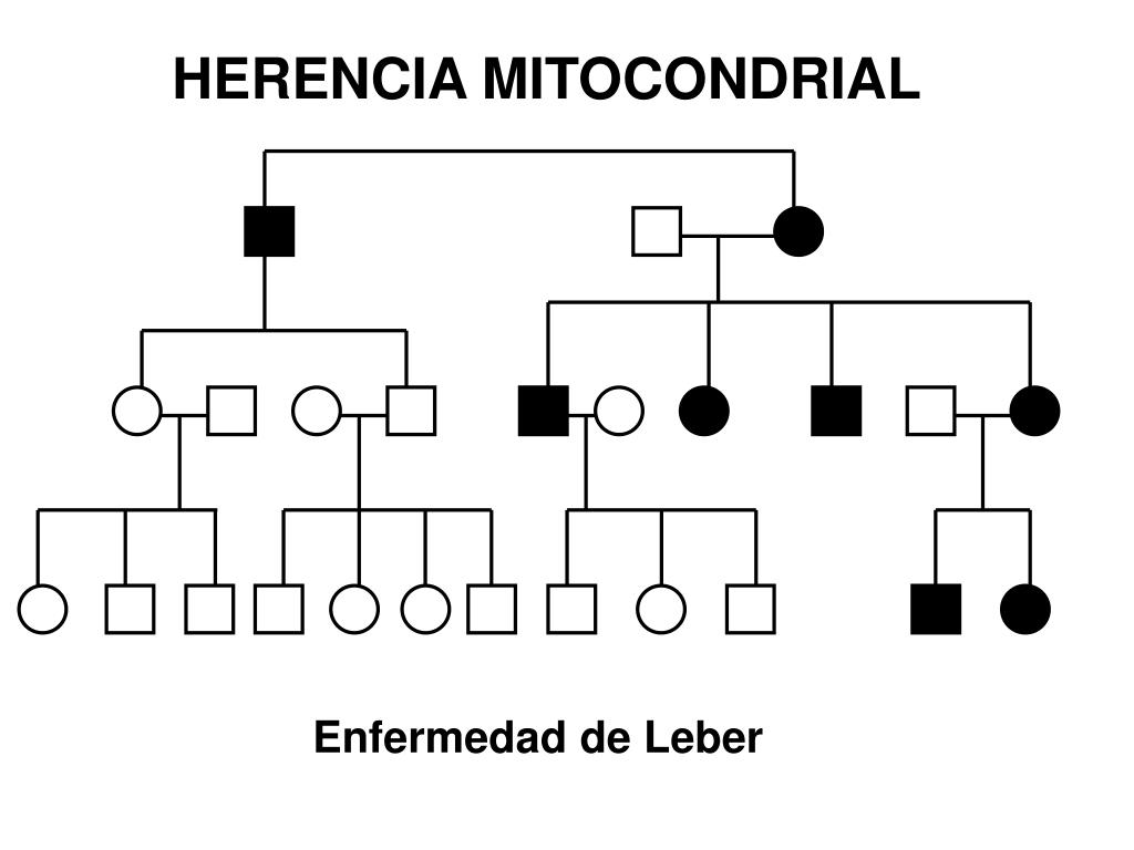 PPT - Deformidad de la mano hendida (70% penetrancia) PowerPoint ...
