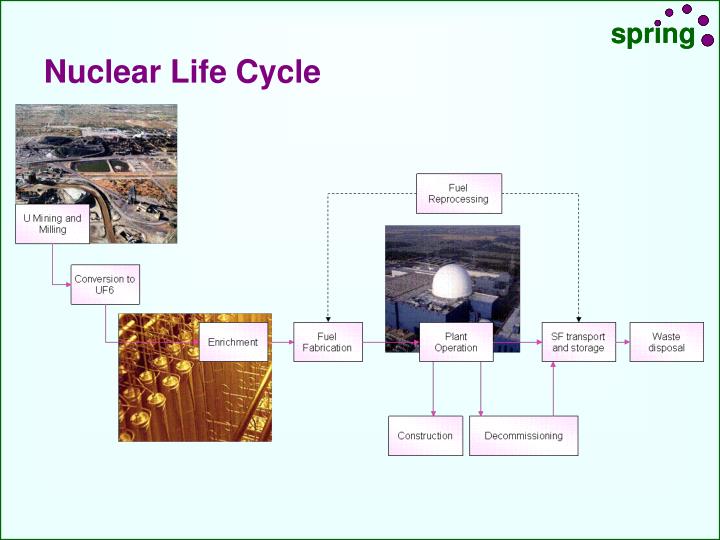 PPT - Life Cycle Environmental Impact Assessment of Nuclear Power ...