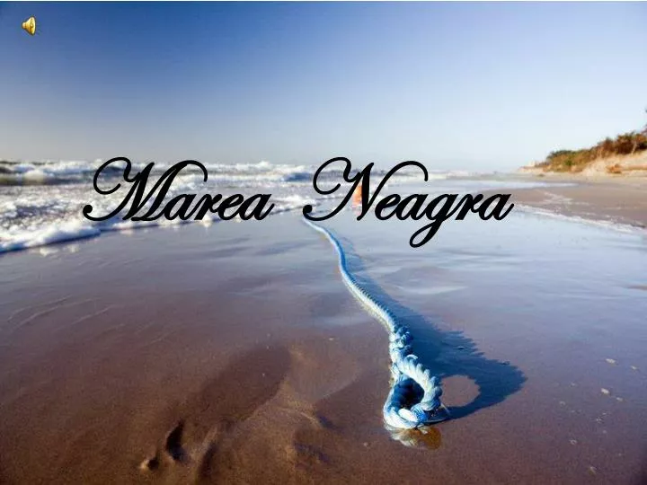 PPT - Marea Neagra PowerPoint Presentation, free download - ID:6241442