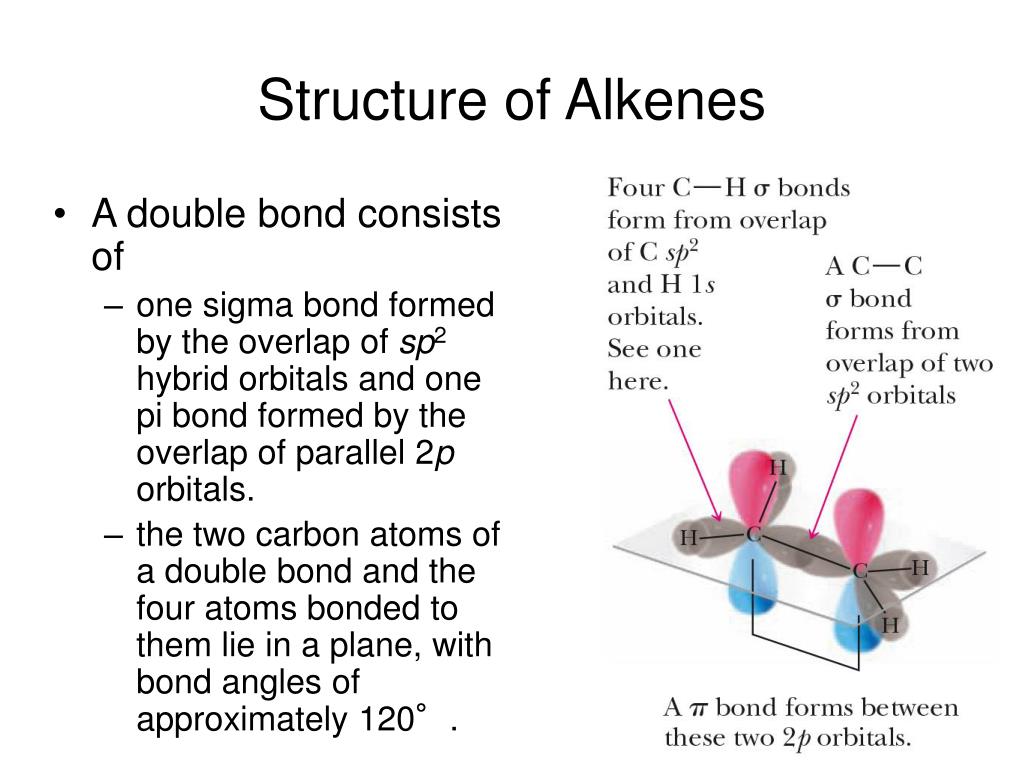 PPT - NOMAN CLATURE OF ALKENE,ALKYNE,ARENES Unsaturated Hydrocarbons ...