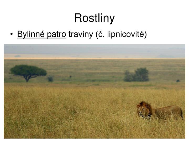 PPT - Savany a stepi 7.třída PowerPoint Presentation - ID:6242854