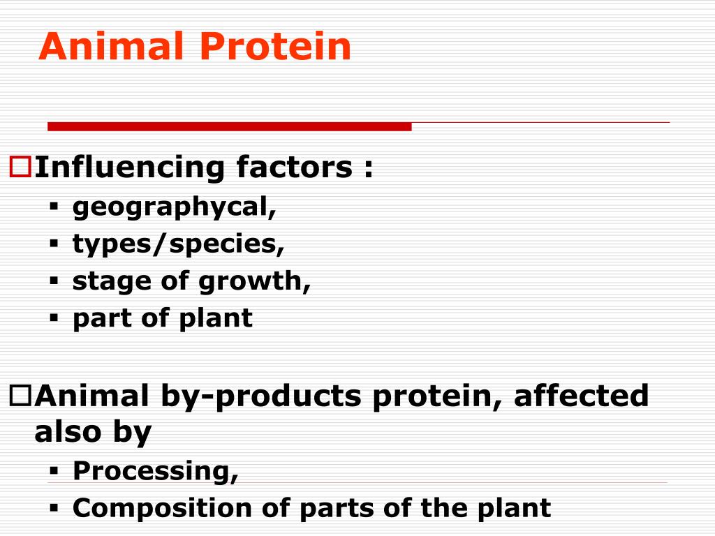 PPT - Protein in Animal Feeding PowerPoint Presentation, free download ...
