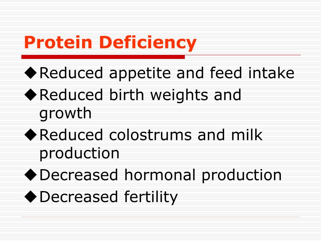 PPT - Protein in Animal Feeding PowerPoint Presentation, free download ...