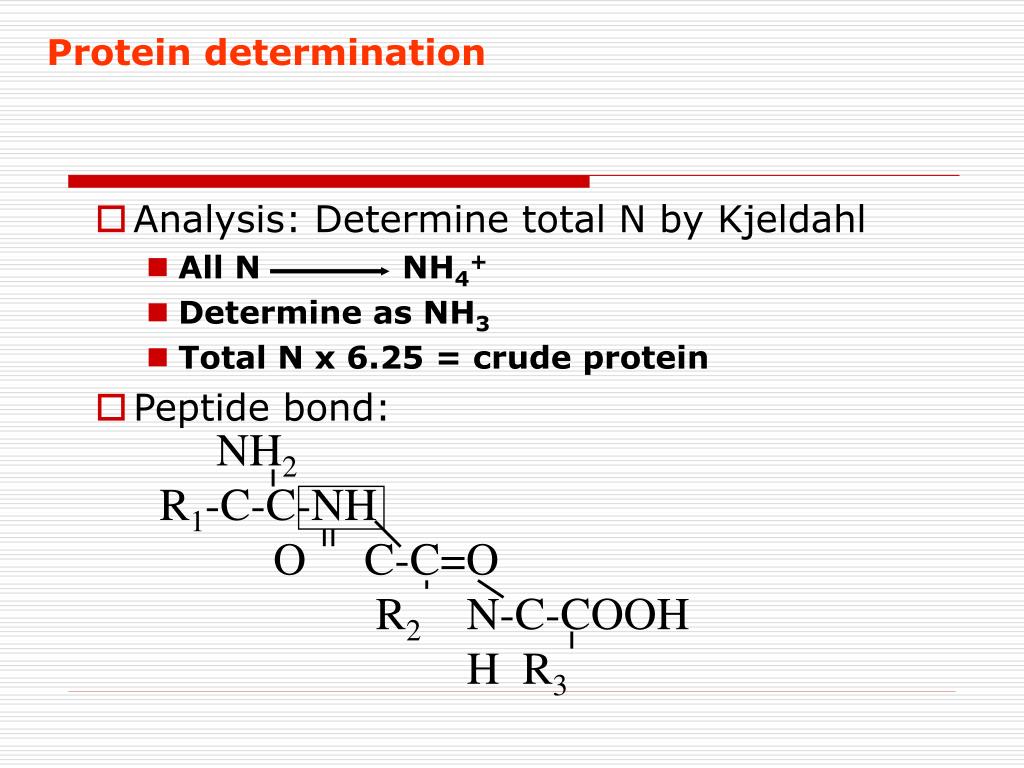 PPT - Protein in Animal Feeding PowerPoint Presentation, free download ...