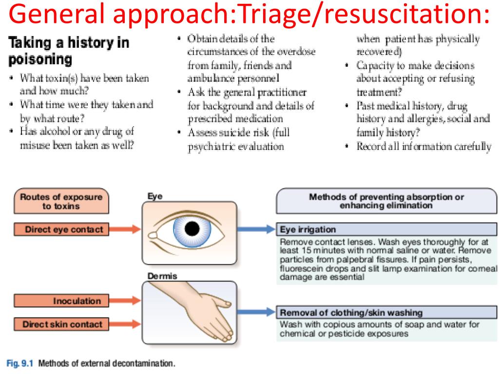 PPT - Prepared by: Dr.Mohamed Shekhani . References: Davidson PP of ...
