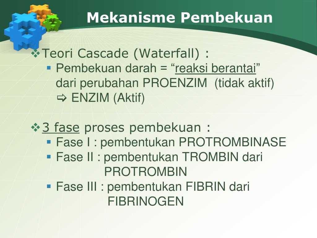 PPT - PEMERIKSAAN LABORATORIUM PADA DIATHESIS HEMORAGIK PowerPoint ...