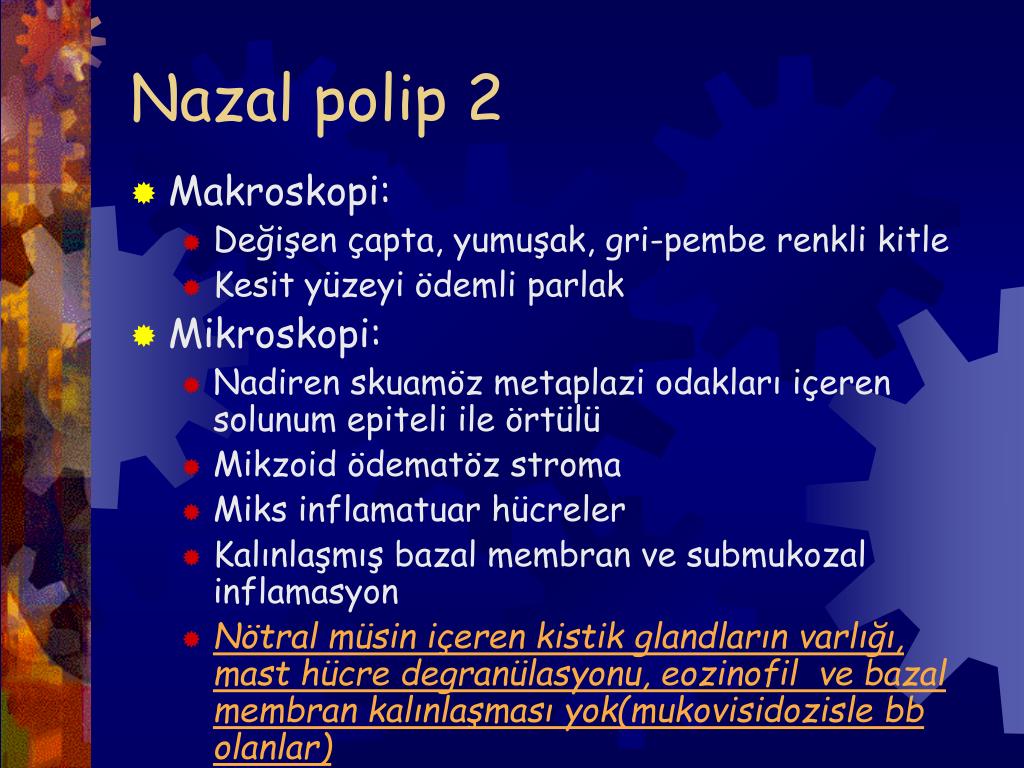 PPT - NAZAL KAVİTE ve PARANAZAL SİNÜSLER (Anatomi) PowerPoint ...