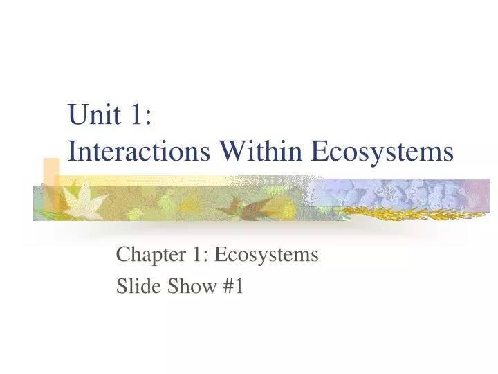 PPT - Unit 1: Interactions Within Ecosystems PowerPoint Presentation ...