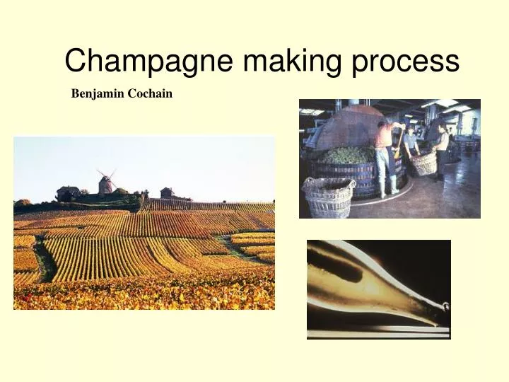 PPT - Champagne making process PowerPoint Presentation, free download ...