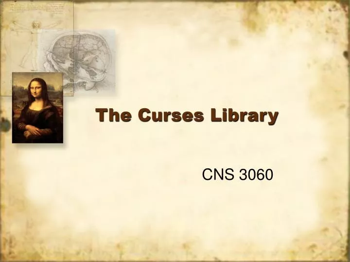PPT - The Curses Library PowerPoint Presentation, free download - ID:6248371