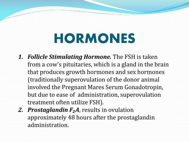 PPT - EMBRYO TRANSFER IN CATTLE PowerPoint Presentation - ID:6248645