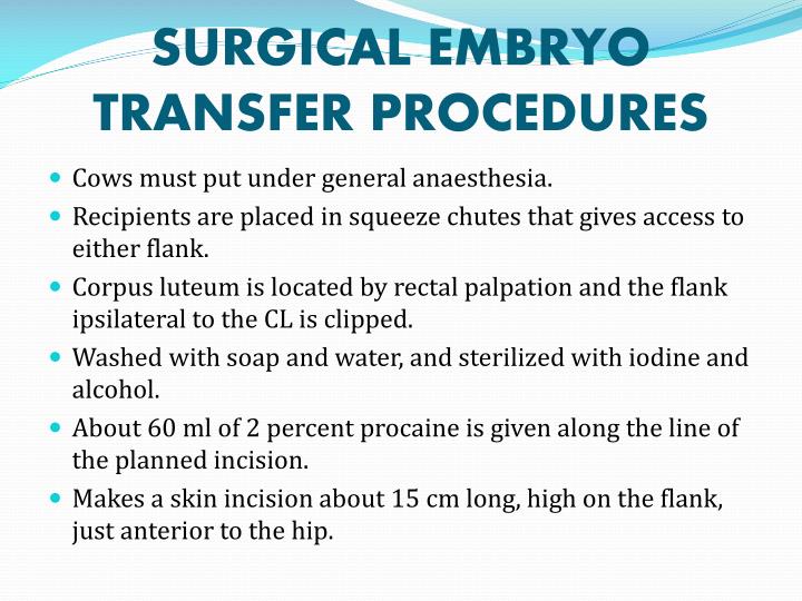 PPT - EMBRYO TRANSFER IN CATTLE PowerPoint Presentation - ID:6248645