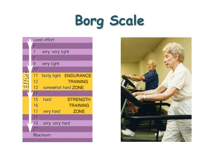 PPT - Principles of Therapeutic Exercise PowerPoint Presentation - ID ...