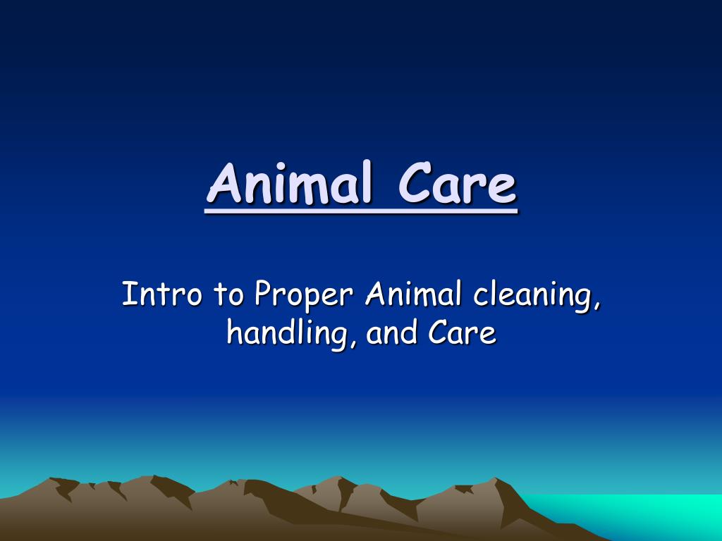 PPT - Animal Care PowerPoint Presentation, free download - ID:6249843
