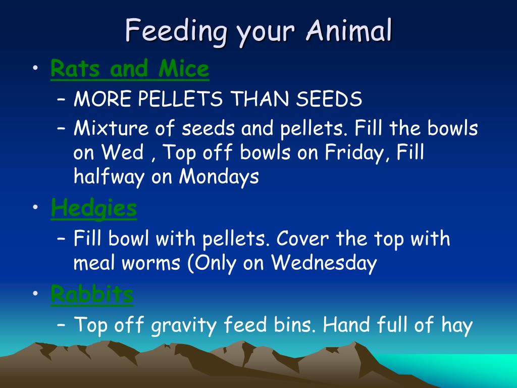 PPT - Animal Care PowerPoint Presentation, free download - ID:6249843