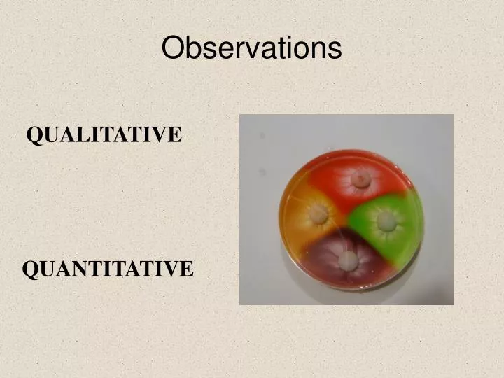 PPT - Observations PowerPoint Presentation, free download - ID:6250701