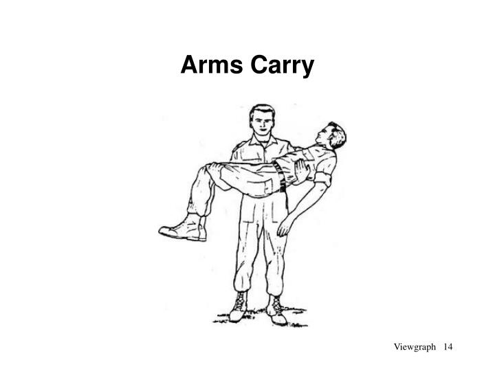 PPT - Support Carry PowerPoint Presentation - ID:6251824