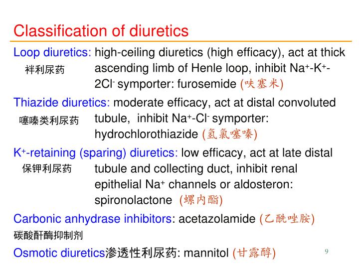 PPT - Diuretics （利尿药） PowerPoint Presentation - ID:6251958