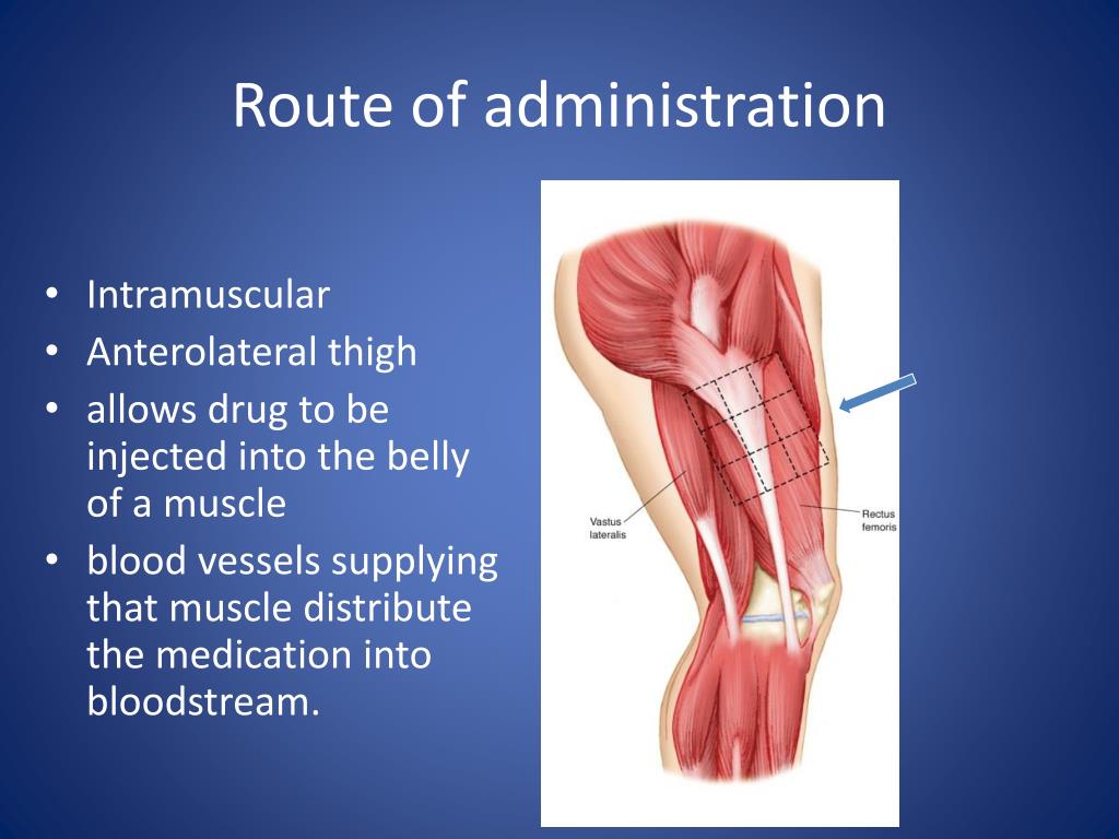 PPT - IM Epinephrine Administration by the EMT PowerPoint Presentation ...