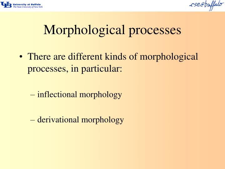 PPT - Brief introduction to morphology PowerPoint Presentation - ID:6253333