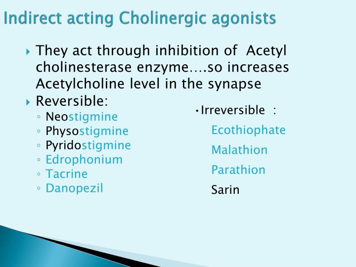 PPT - Drugs acting in Cholinergic system PowerPoint Presentation - ID ...