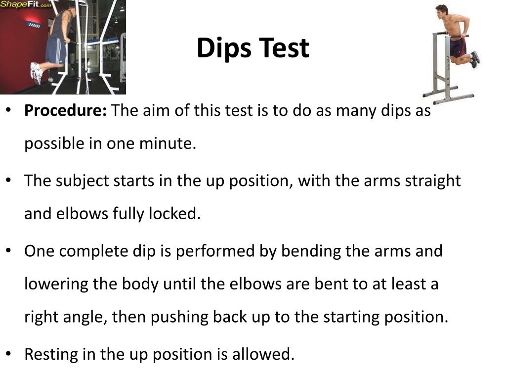 PPT - Muscle Endurance Aerobic Endurance PowerPoint Presentation, free ...