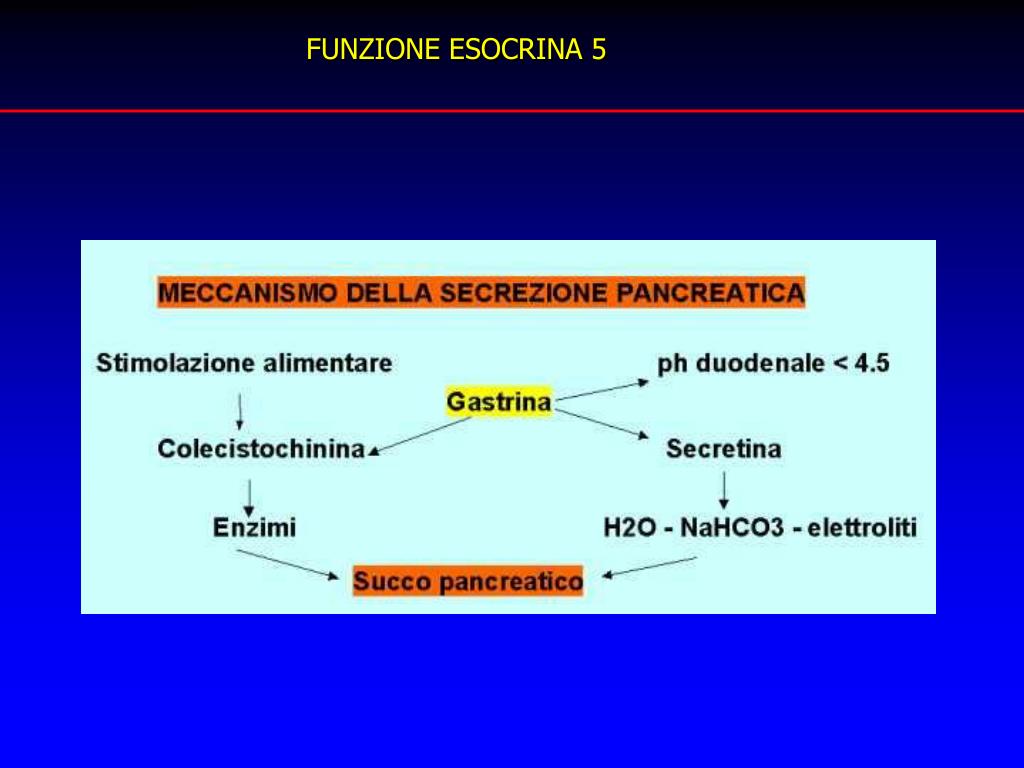 PPT - FISIOPATOLOGIA PANCREATICA PowerPoint Presentation, free download ...