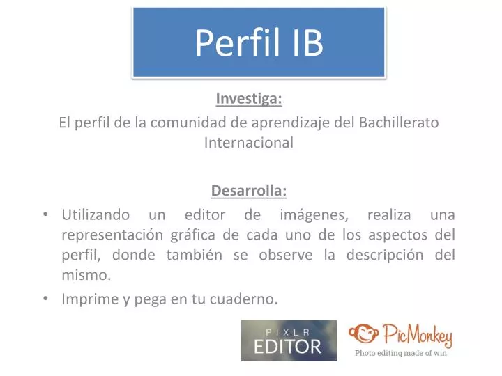 PPT - Perfil IB PowerPoint Presentation, free download - ID:6257616