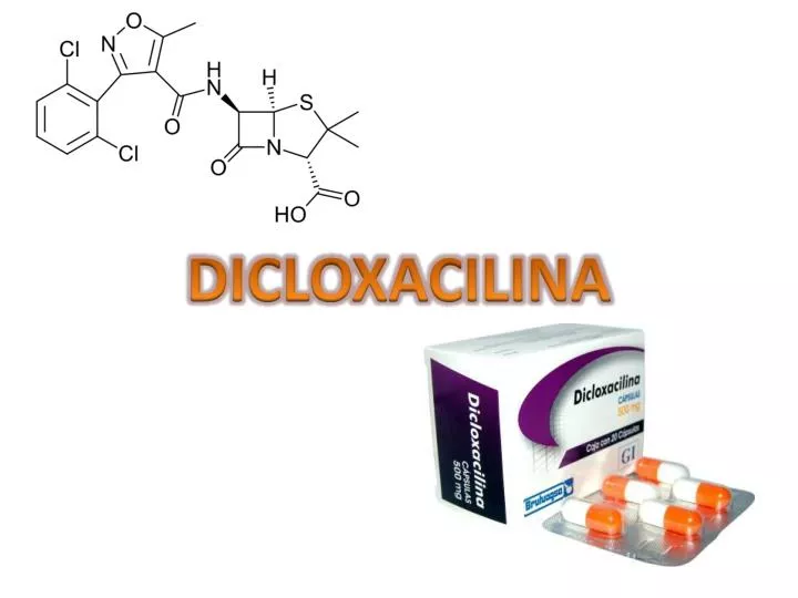 PPT - DICLOXACILINA PowerPoint Presentation - ID:6257734