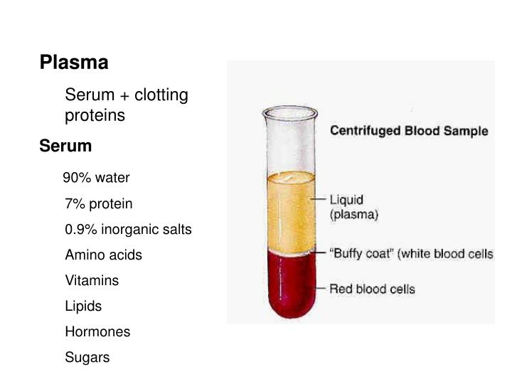 PPT - Blood Plasma/Serum Cells Erythrocytes Leukocytes Platelets ...