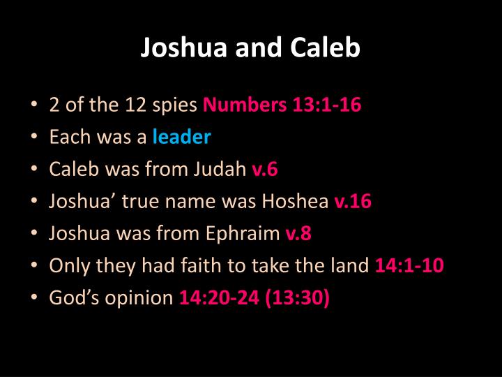 PPT - JOSHUA AND CALEB PowerPoint Presentation - ID:6259189