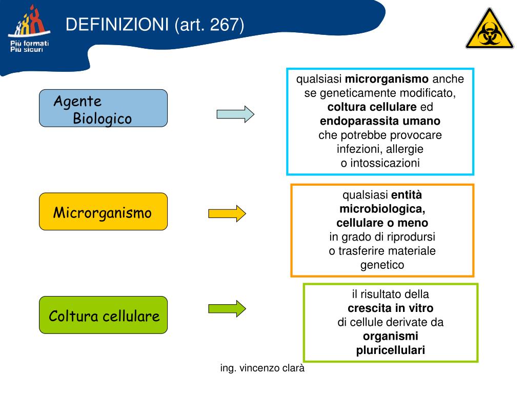 PPT - RISCHIO DA ESPOSIZIONE AD AGENTI BIOLOGICI PowerPoint ...