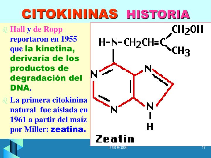 PPT - HORMONAS VEGETALES TIPOS PowerPoint Presentation - ID:6259779