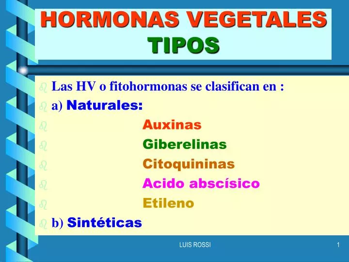 PPT - HORMONAS VEGETALES TIPOS PowerPoint Presentation, free download ...